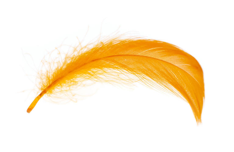 The Spiritual Meaning of Feather: It's Hidden Meaning