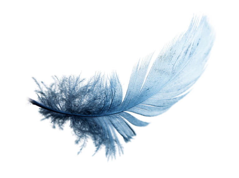 The Spiritual Meaning of Feather: It's Hidden Meaning