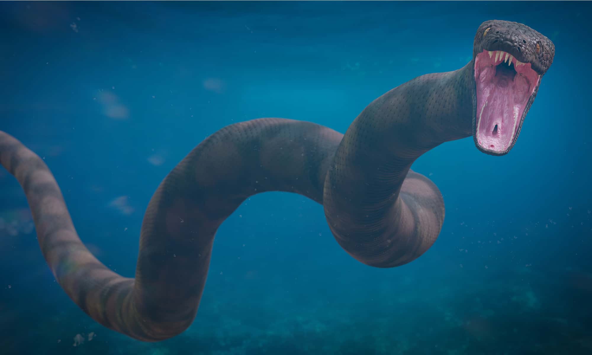 Scientists Discover Ancient Snake that Rivals Titanoboa Size: Just How ...