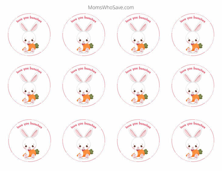 Jelly Bean Carrot Treat Bags with Free Printable Bunny Tags