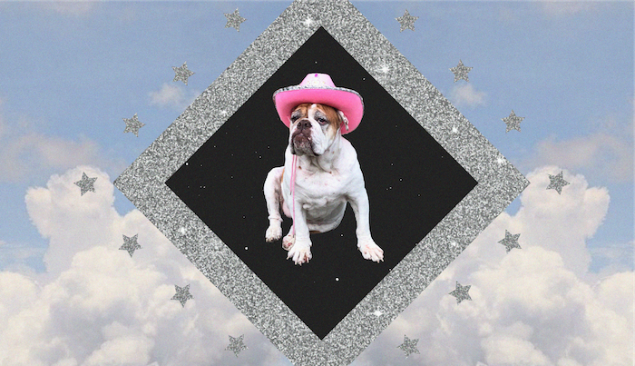 Your daily DogScope for January 14, 2026