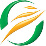 SABC Sport - MSN