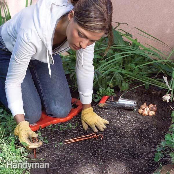 10 Handy Gardening Tips for Busy People