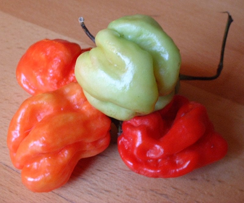 Pimenta na culinária: quitutes ardidos de diferentes países