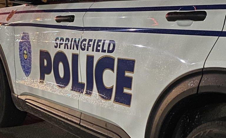 ‘Thorough review’ promised after widely shared video shows Springfield ...