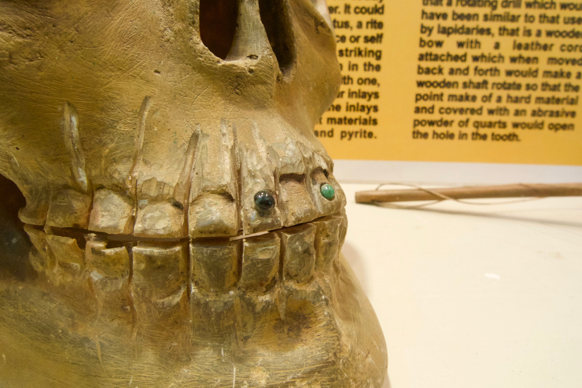 Why the Maya civilization is so fascinating