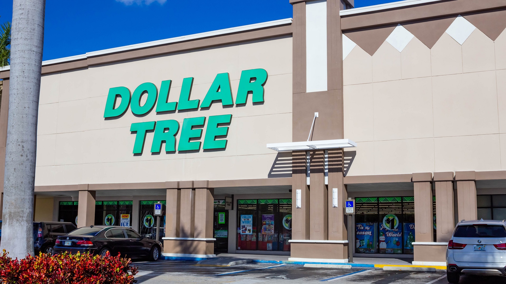 The Best $20 You Can Spend at Dollar Tree Ahead of Summer