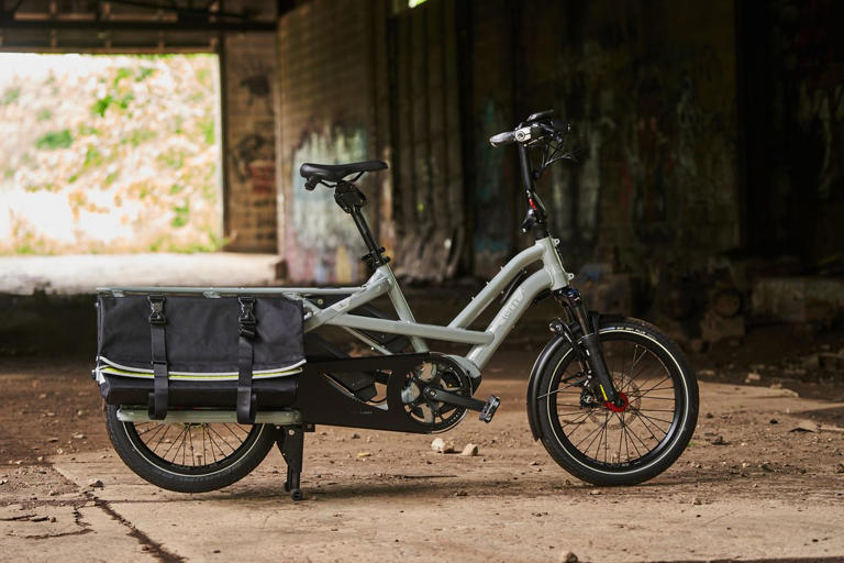 From Playground Trips to Grocery Runs – Find the Perfect E-Cargo Bike ...