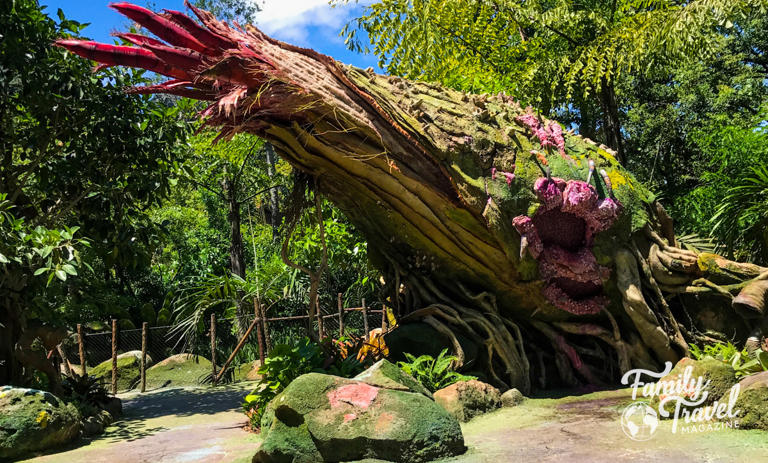 A Guide to Animal Kingdom Rides