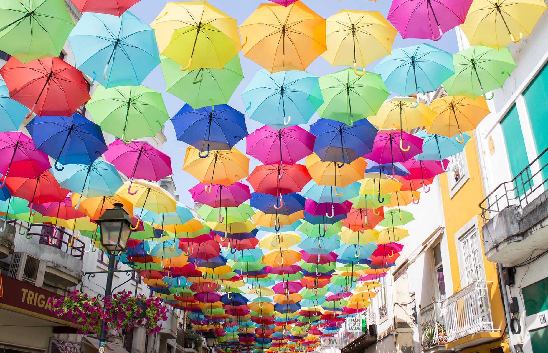 The world's most beautiful streets: which Canadian gems made the list?