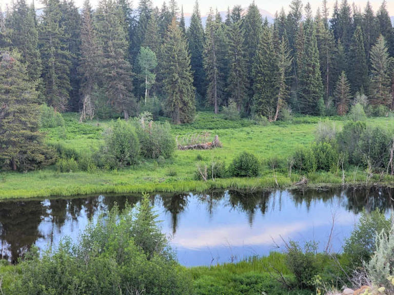 MOOSE WILSON ROAD - GRAND TETON NATIONAL PARK