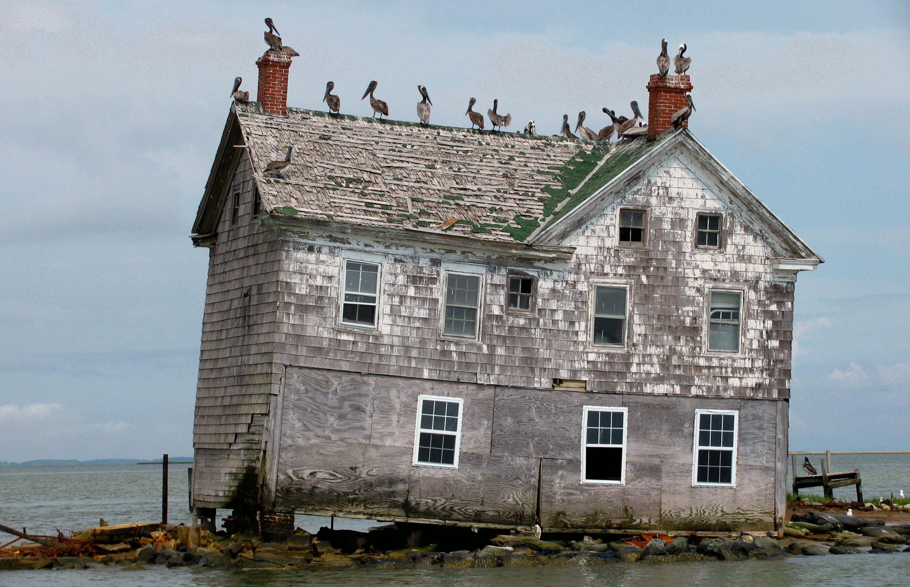 Fascinating photos of houses reclaimed by the forces of nature