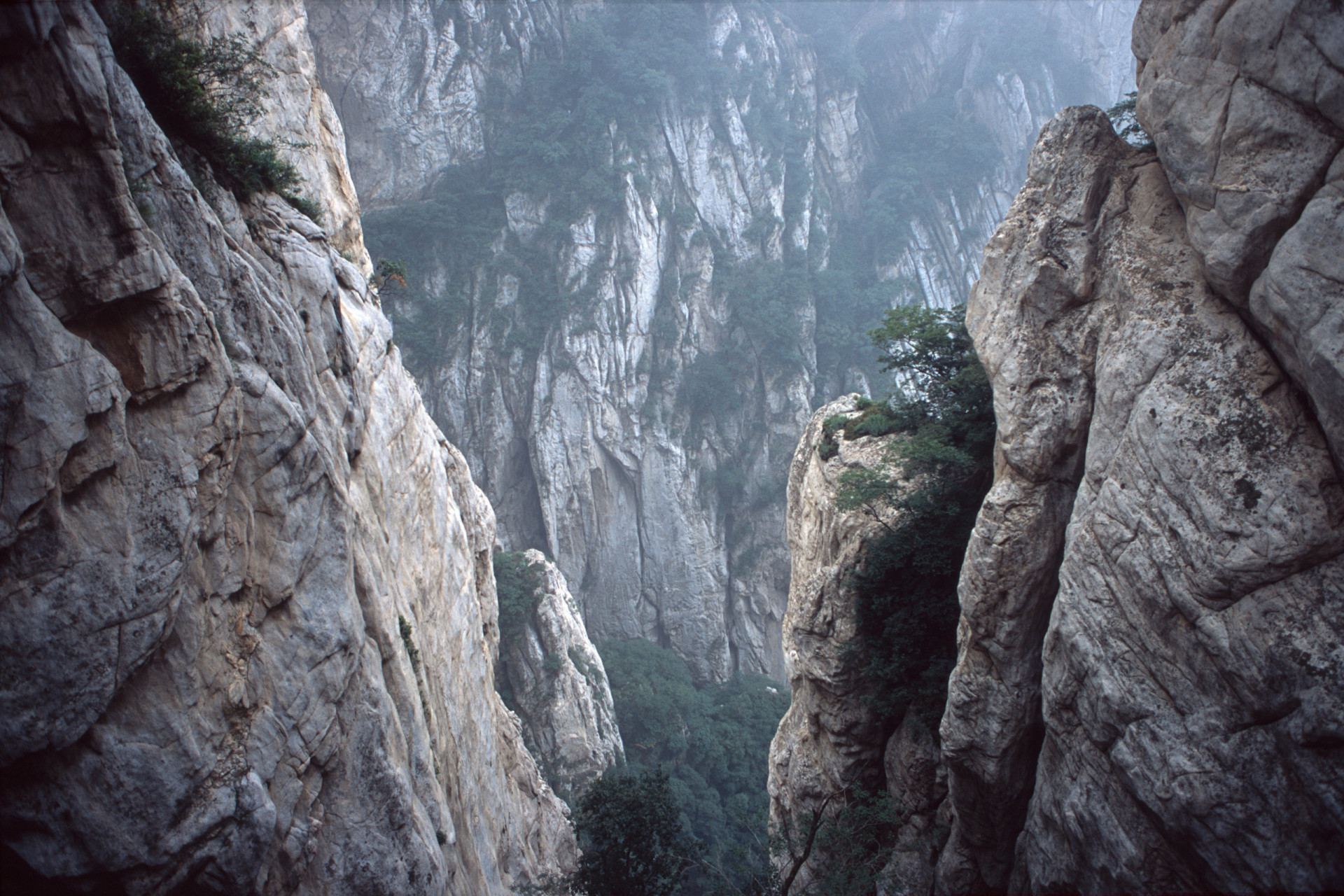 Meet the Shaolin monks, China's formidable fighting Buddhists