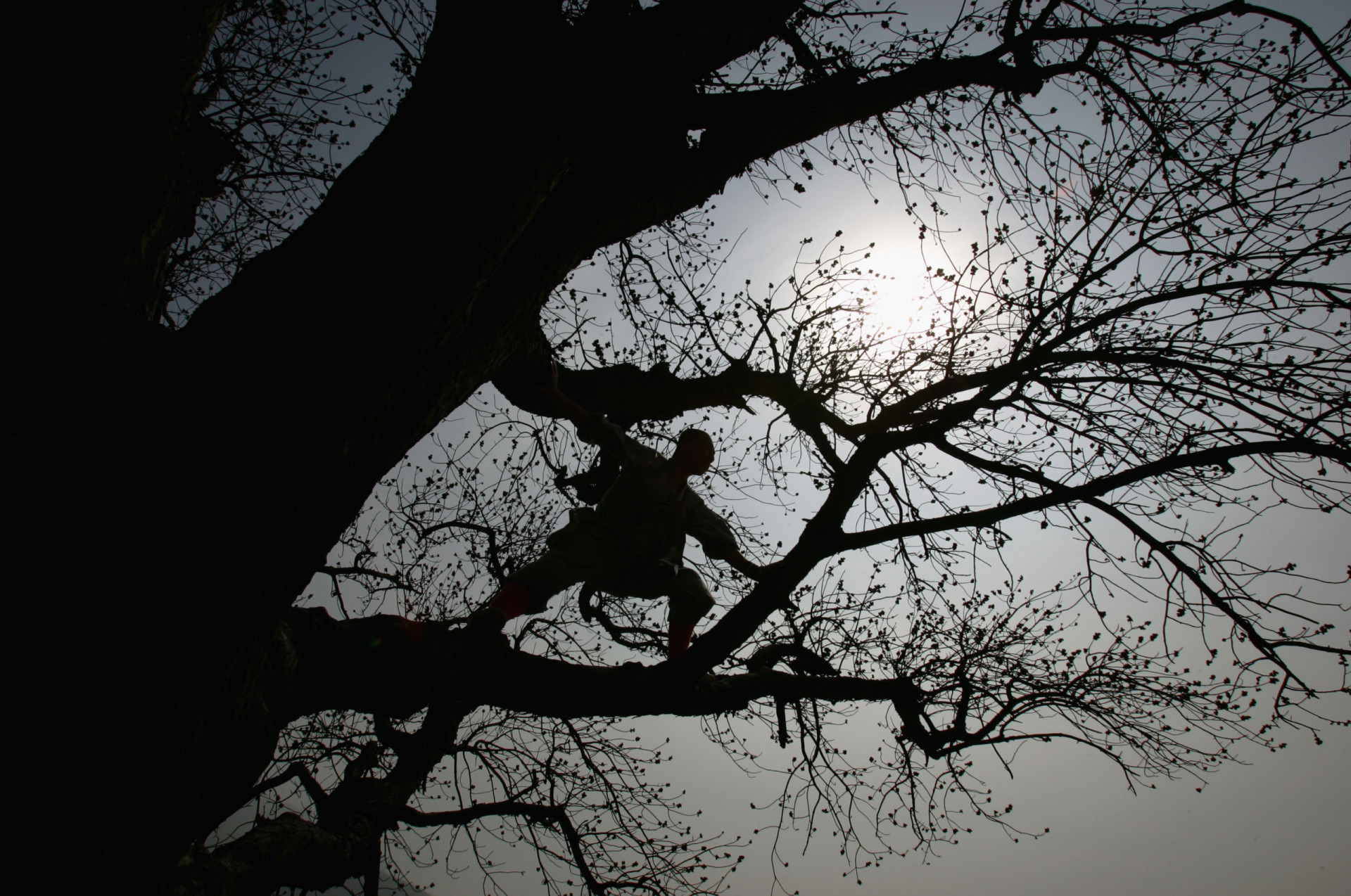 Meet the Shaolin monks, China's formidable fighting Buddhists