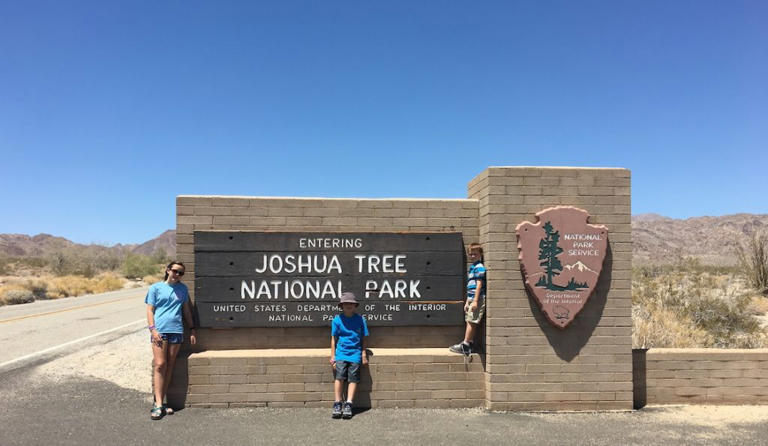 Top 9 Things to Do in Joshua Tree National Park
