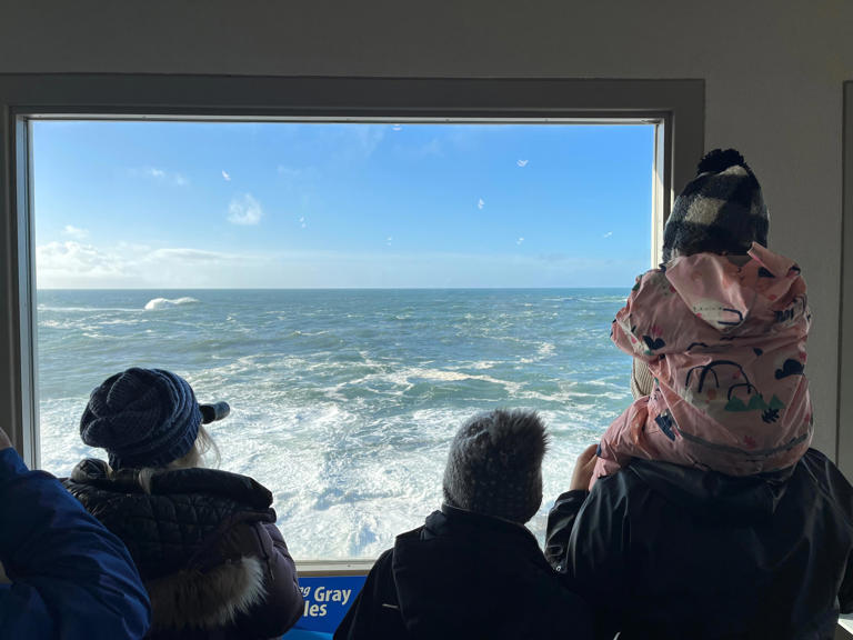 Winter Whale Watch Week set for Oregon Coast. Where to see gray whales