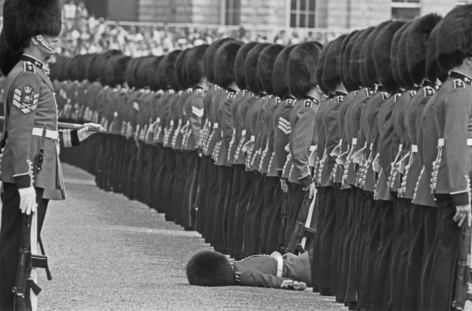 The secret life of a royal guard