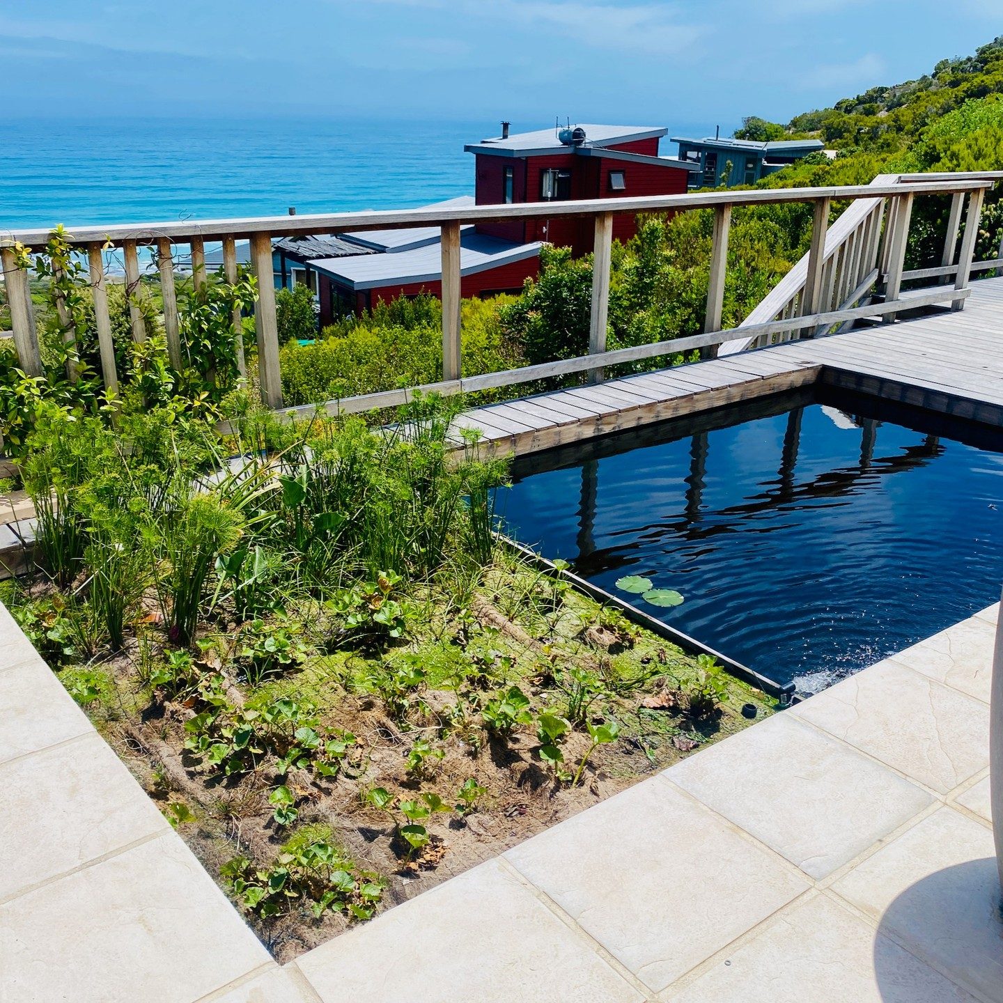 8 Backyard Pool Ideas On a Budget