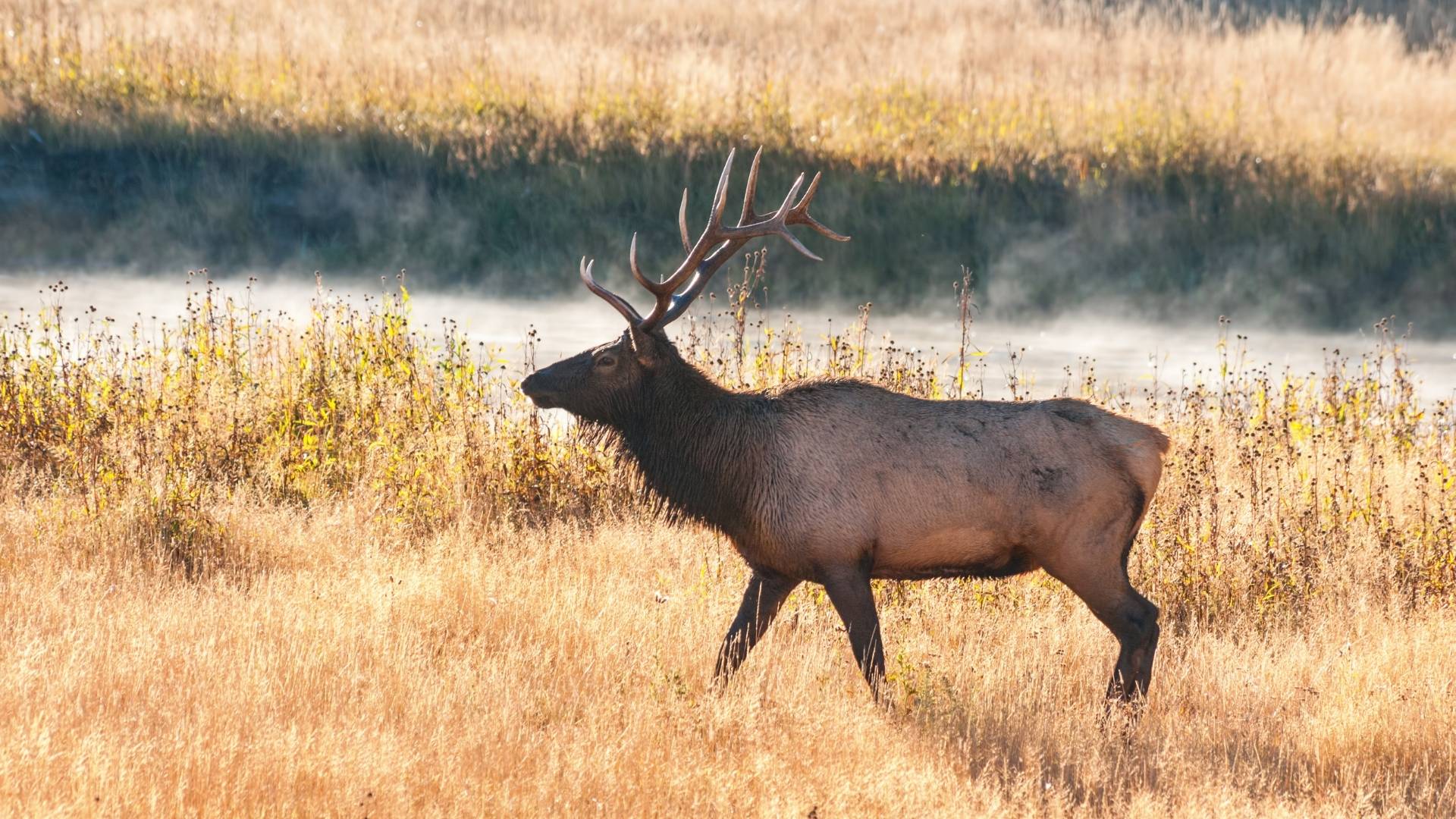 15 Fun Things to do in Gardiner, MT