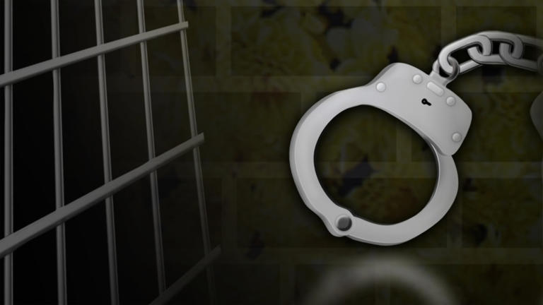 Iowa county treasurer’s arrest tied to vehicle tag fees, records show