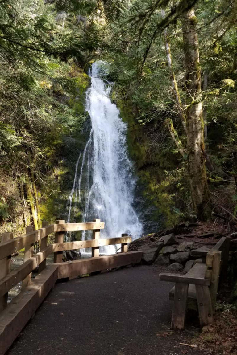 OLYMPIC NATIONAL PARK HIKES