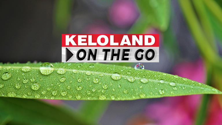 Woman arrested for assault; poll reaction; rain