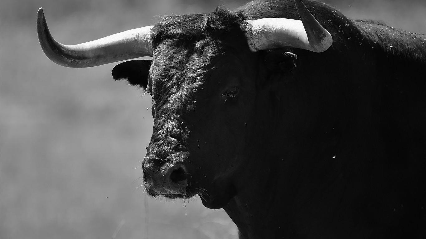 4 erreurs à ne jamais commettre avec un Taureau, attention danger
