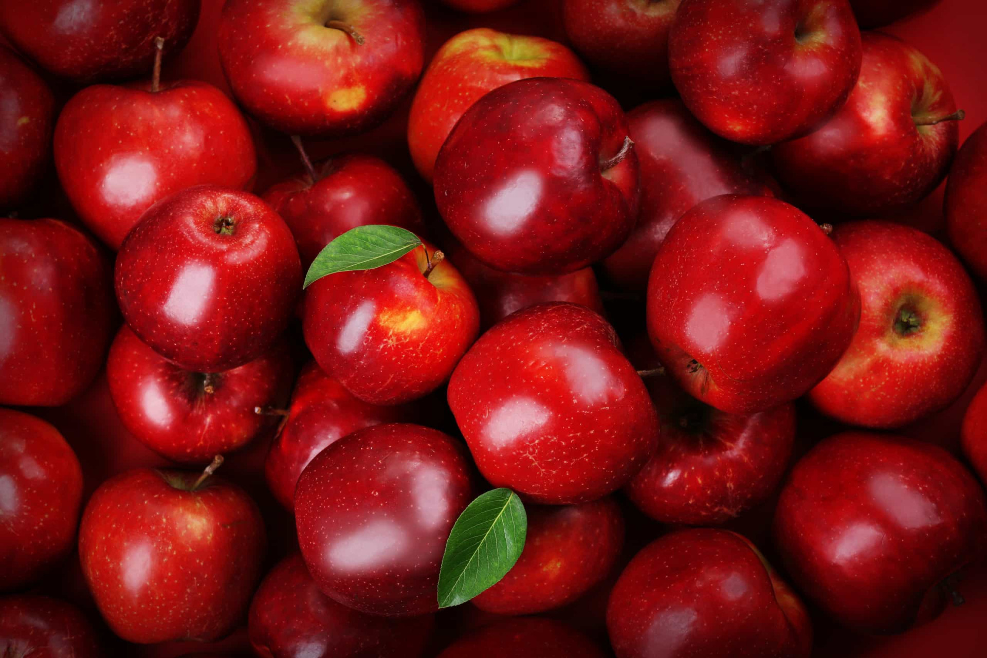 Les meilleurs aliments riches en fibres