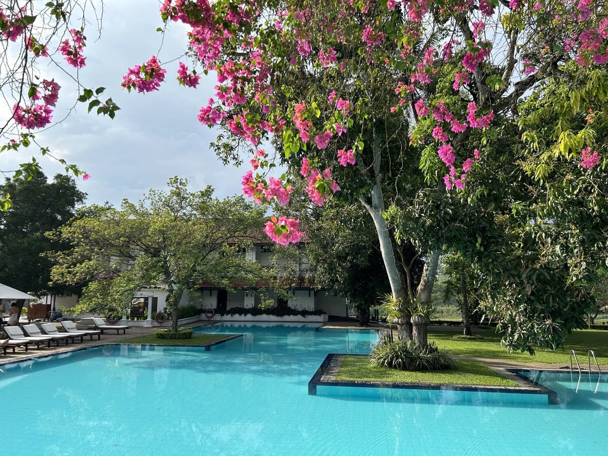 Mahaweli Reach Hotel: Luxury and Relaxation for Families