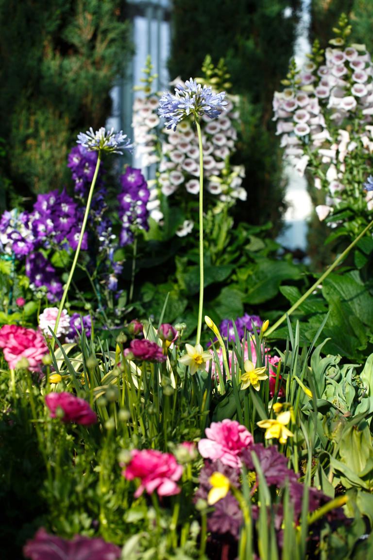 Como Park Conservatory spring flower show