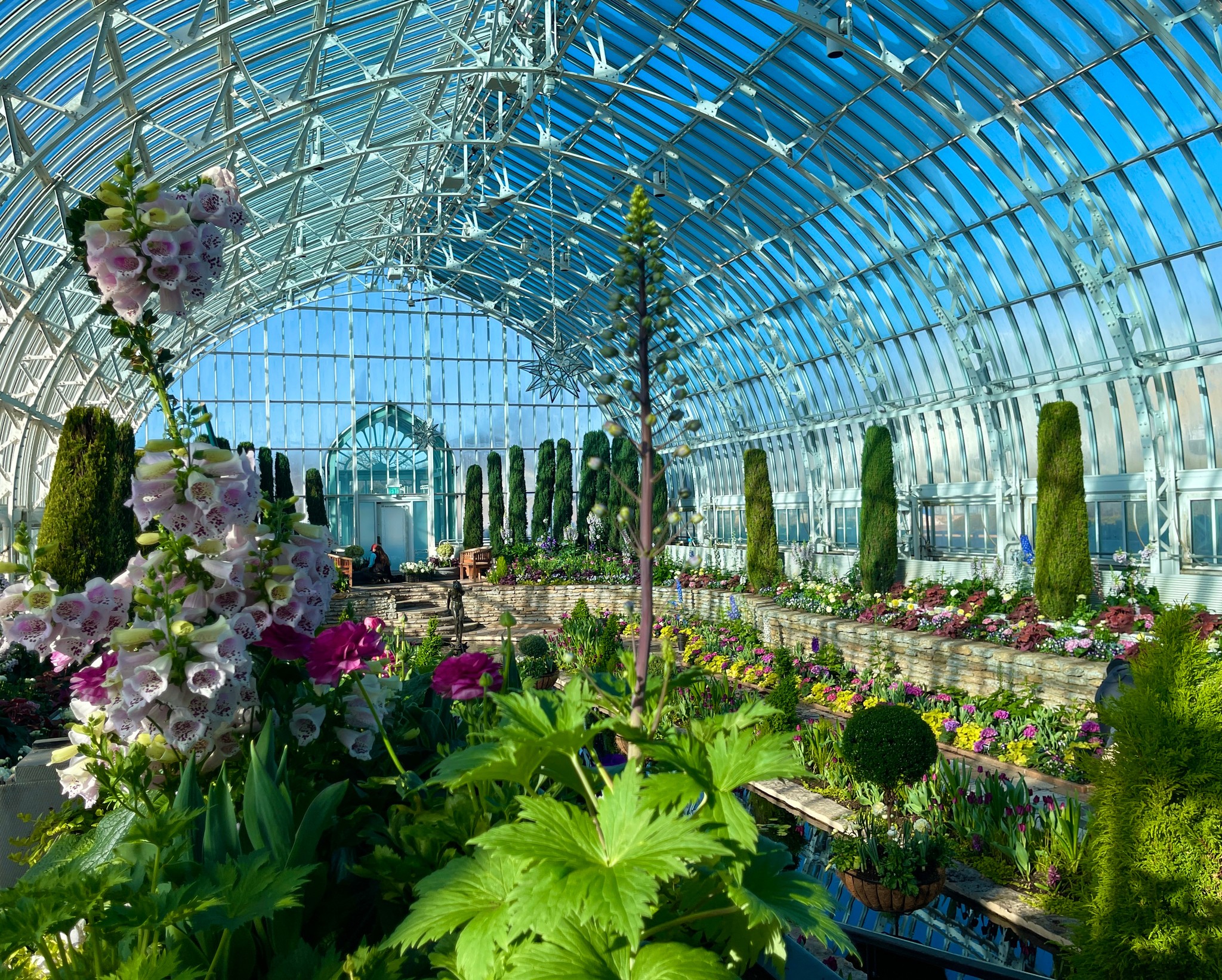 Como Park Conservatory spring flower show