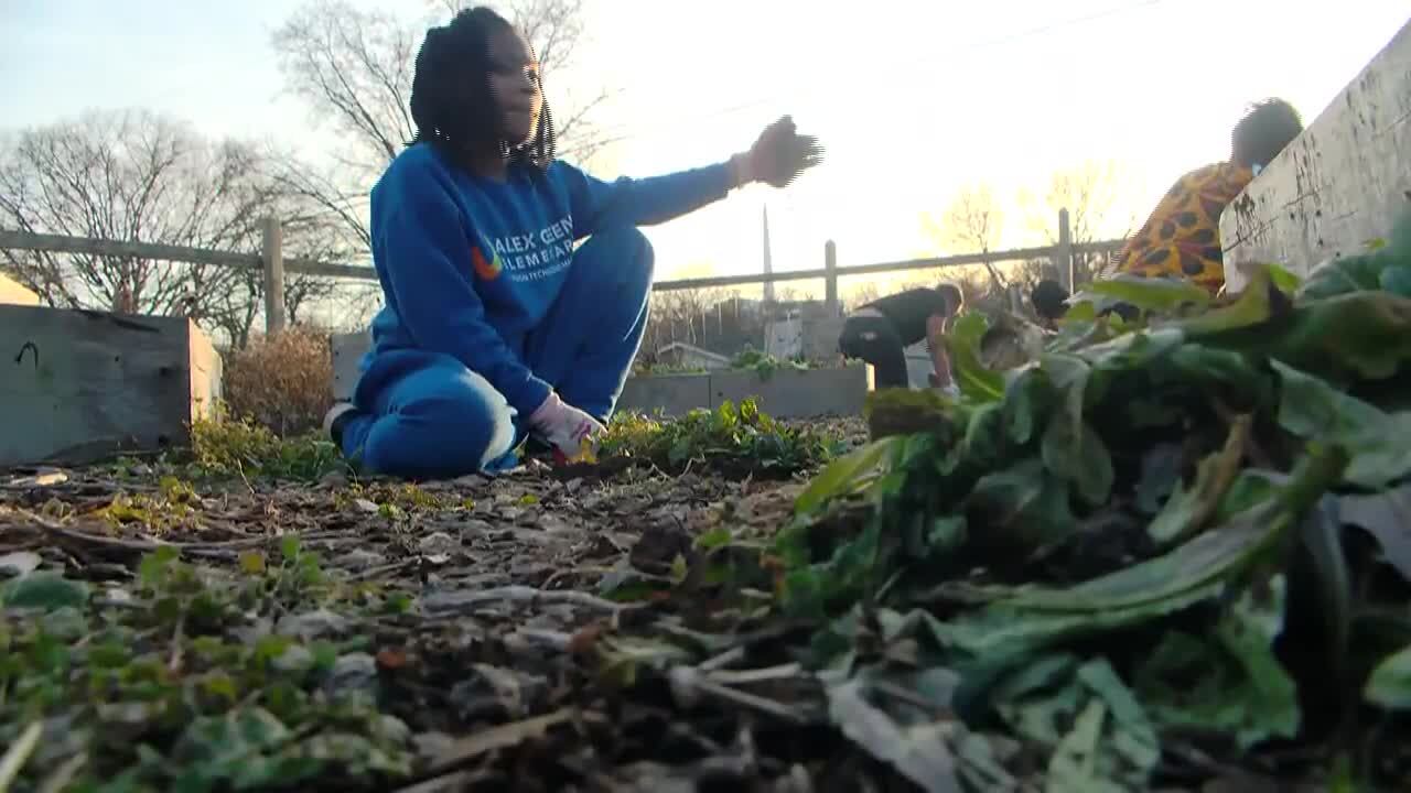 Community garden tackles food insecurity in North Nashville neighborhood