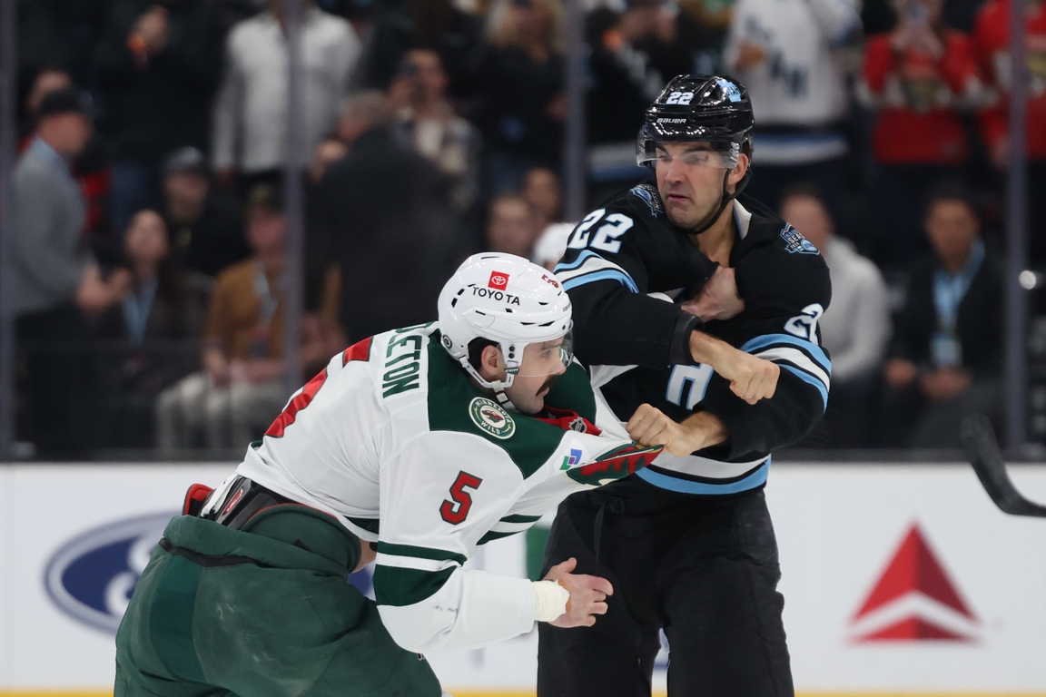 February hockey fight photo collection