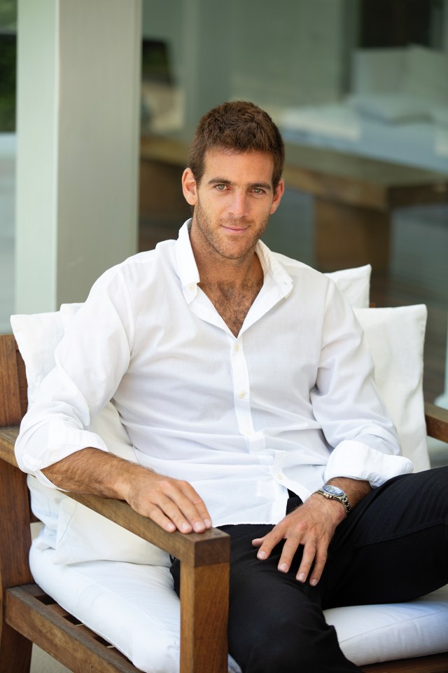 Juan Martín del Potro, a 3 años de su despedida: radiografía de una de ...