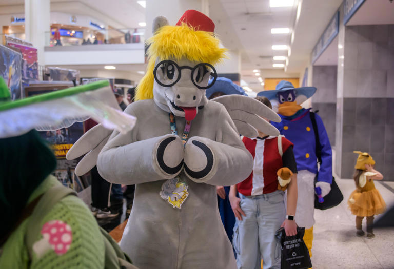 Fair, fireworks, concerts and more: Here are 15 fun things to do in ...