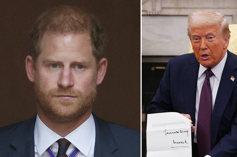 Prince Harry makes veiled dig at Donald Trump just hours after ...