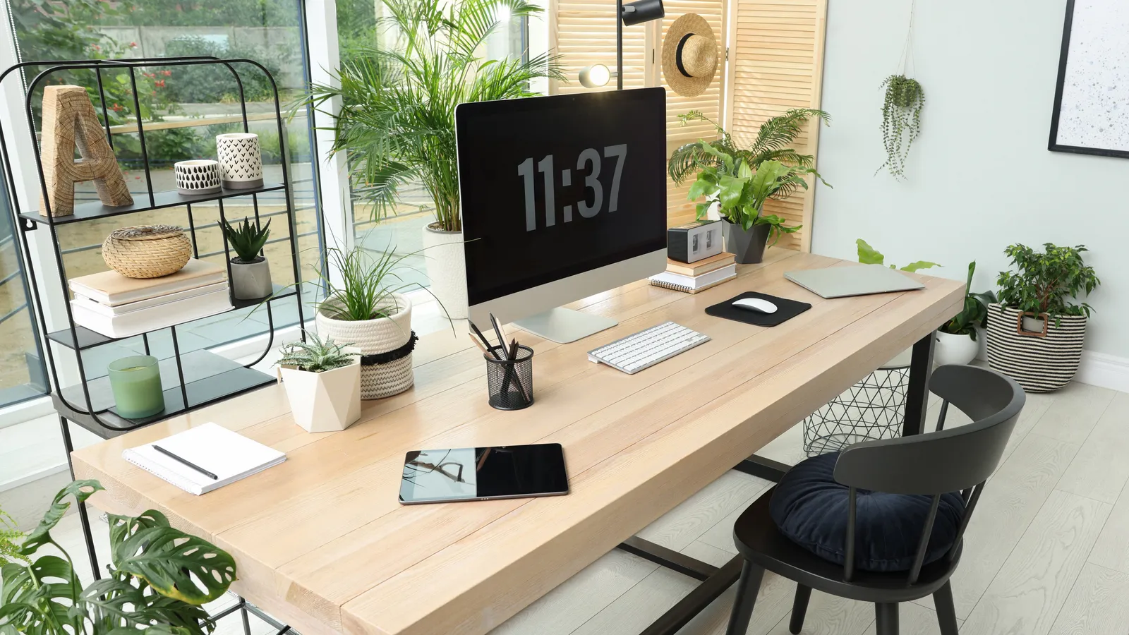 Why Nature Inspired Offices Are Trending Now