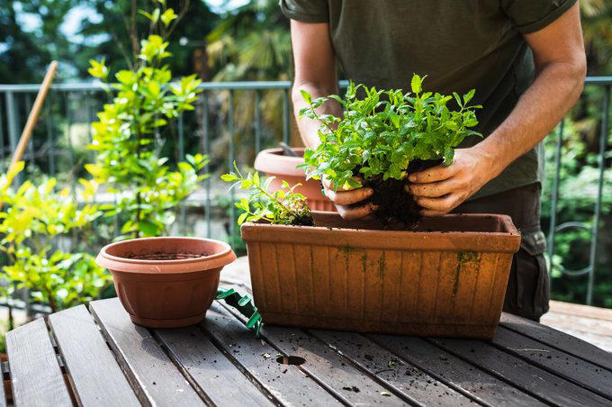 17 Easy Landscaping Secrets To Transform Your Backyard