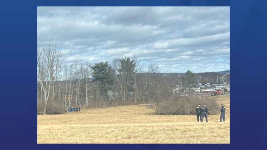 Police: Man arrested after fleeing into woods after traffic stop in Vestal