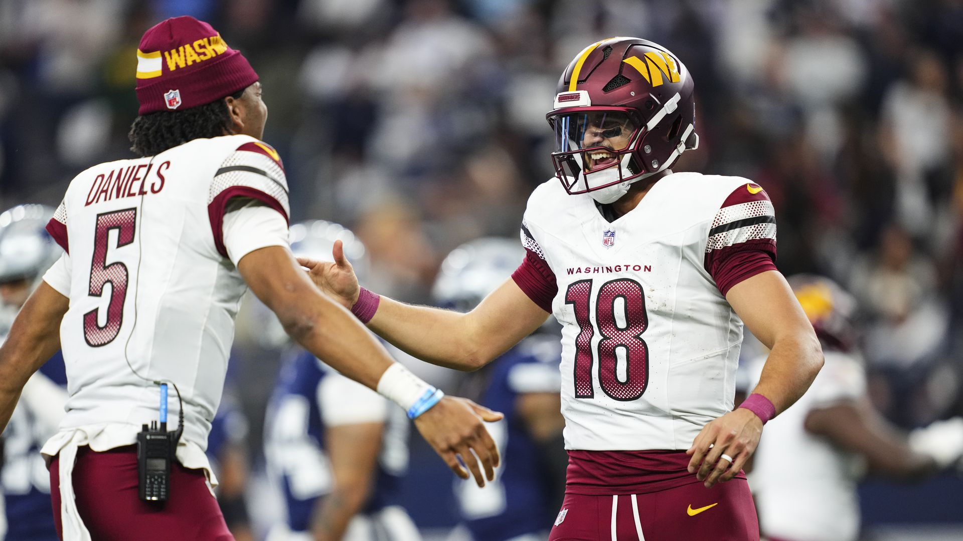 How should the Dolphins approach their backup quarterback search?