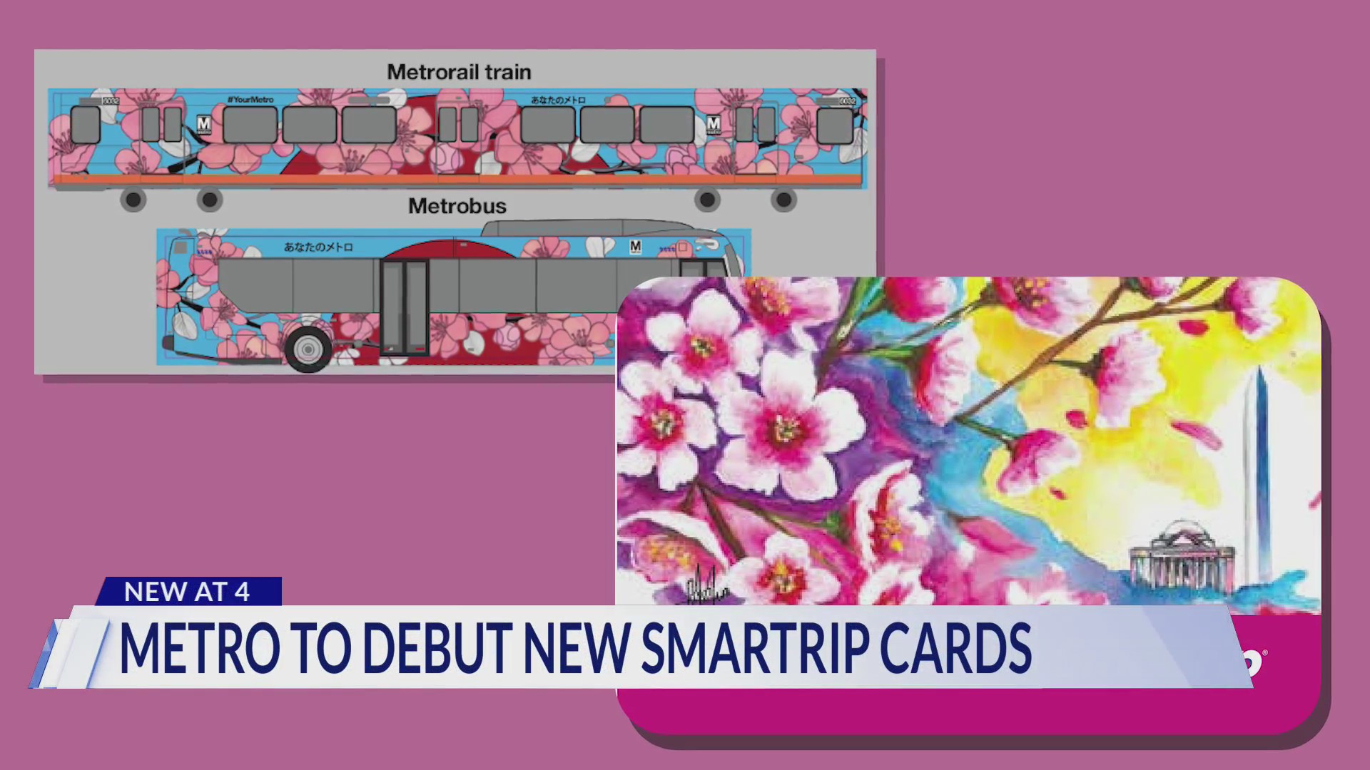 Visit the cherry blossoms in style with special Metro bus, train and ...