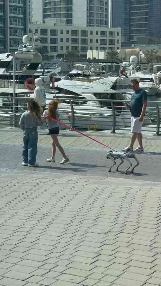 Kids Walk a Robot Dog by the Marina