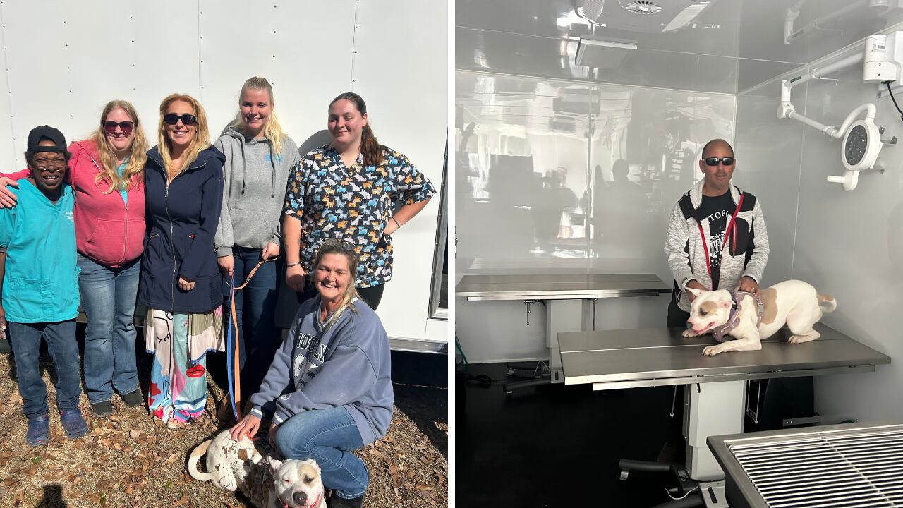 North Strand animal rescue opens mobile spay, neuter clinic