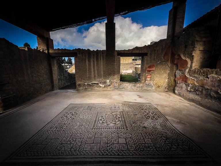 Unique case of Herculaneum brain turned to glass solved