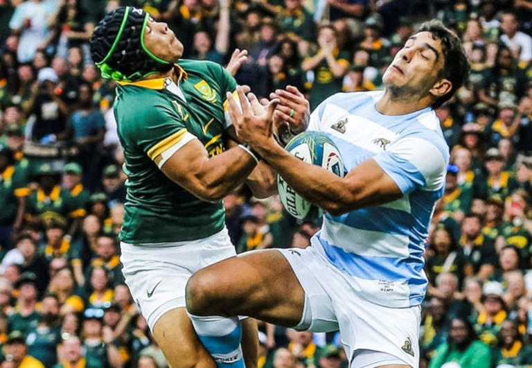 When are the Springboks back in action?