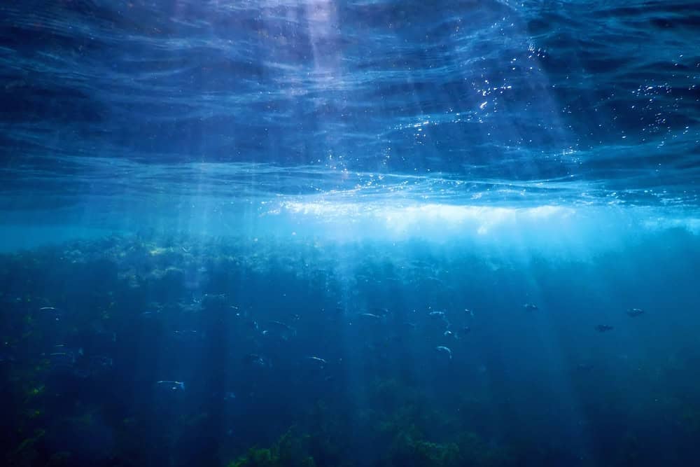 81 Brilliant Storage Hacks For A REALLY Tidy Home