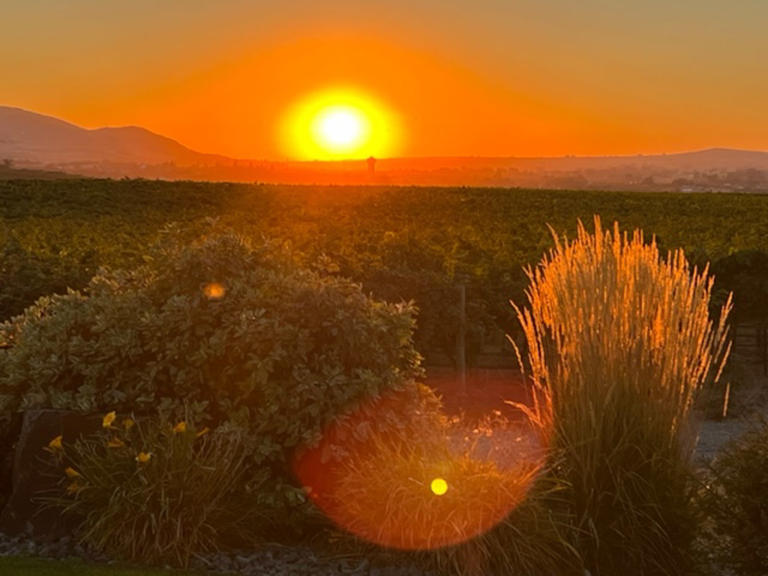 25 Fun Facts About Washington State That Might Surprise You