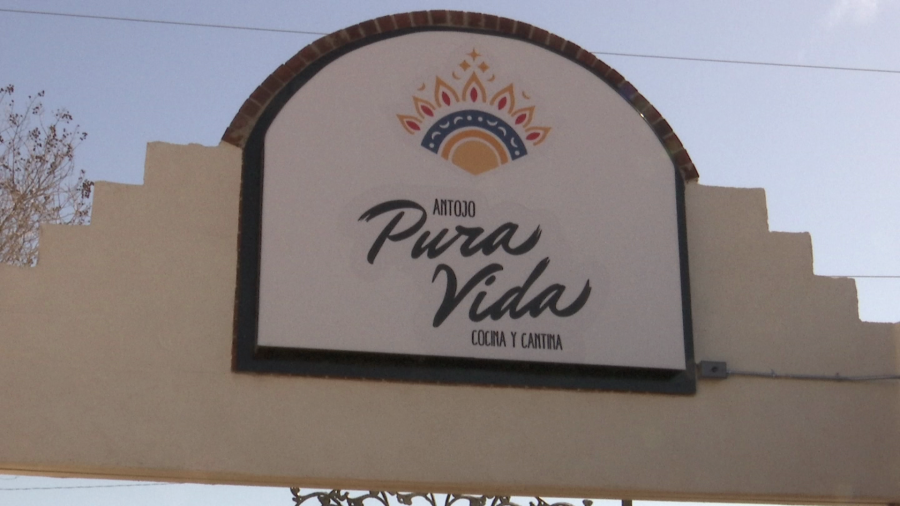 Basin Bites: Antojo Pura Vida