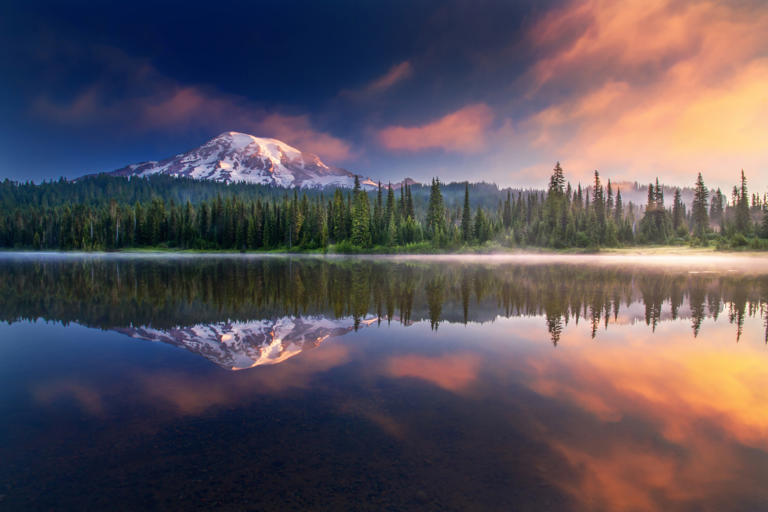 25 Fun Facts About Washington State That Might Surprise You