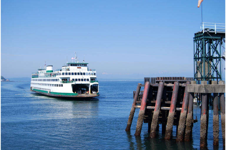 25 Fun Facts About Washington State That Might Surprise You